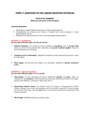 Week 2 - Histology of Epithelial tissue - VIRTUAL PRACTICAL CLASS ...