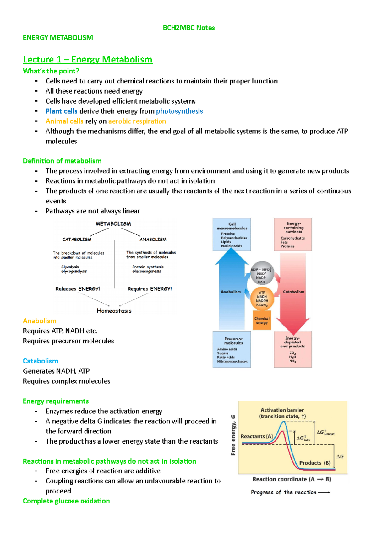 BCH2MBC Notes - lectures 1-10 - BCH2MBC Notes ENERGY METABOLISM Lecture ...