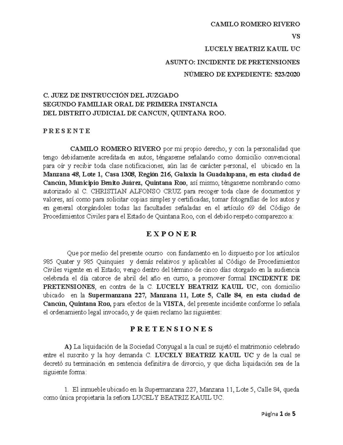 583291795 Incidente DE Liquidacion DE Bienes DE LA Sociedad Conyugal ...