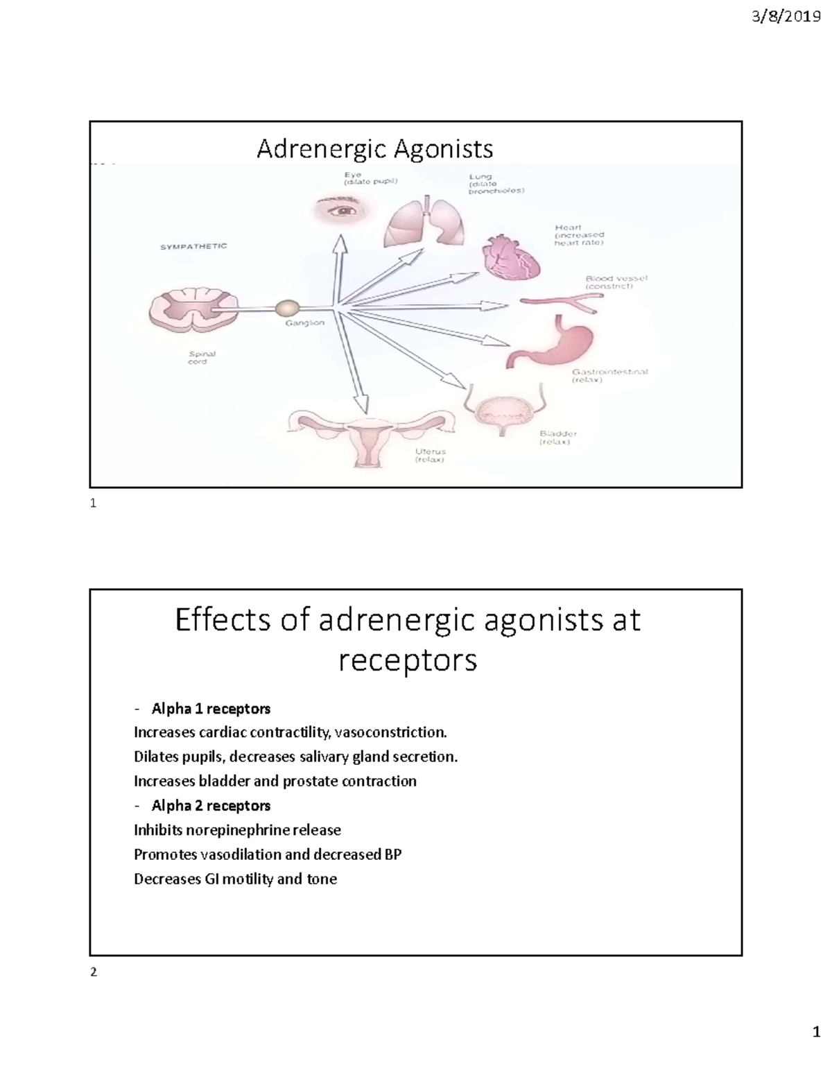 Ch 30, 31, 32, 33 - Adrenergic Agonists 1 Effects of adrenergic ...