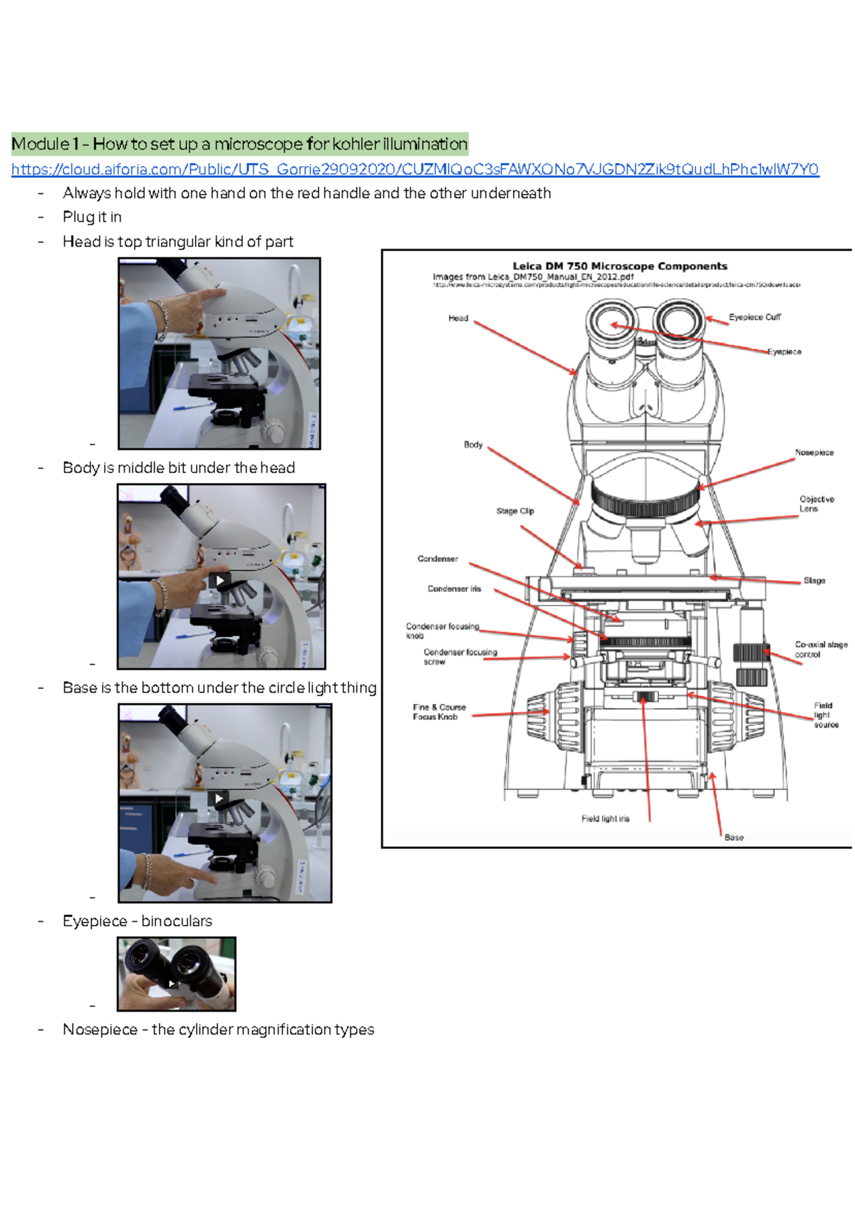 Week 1 Histology notes - Module 1 - How to set up a microscope for ...