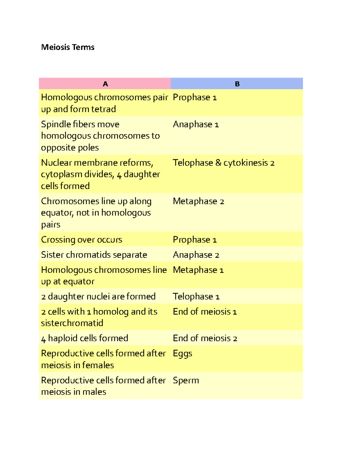 Meiosis Terms - Studocu