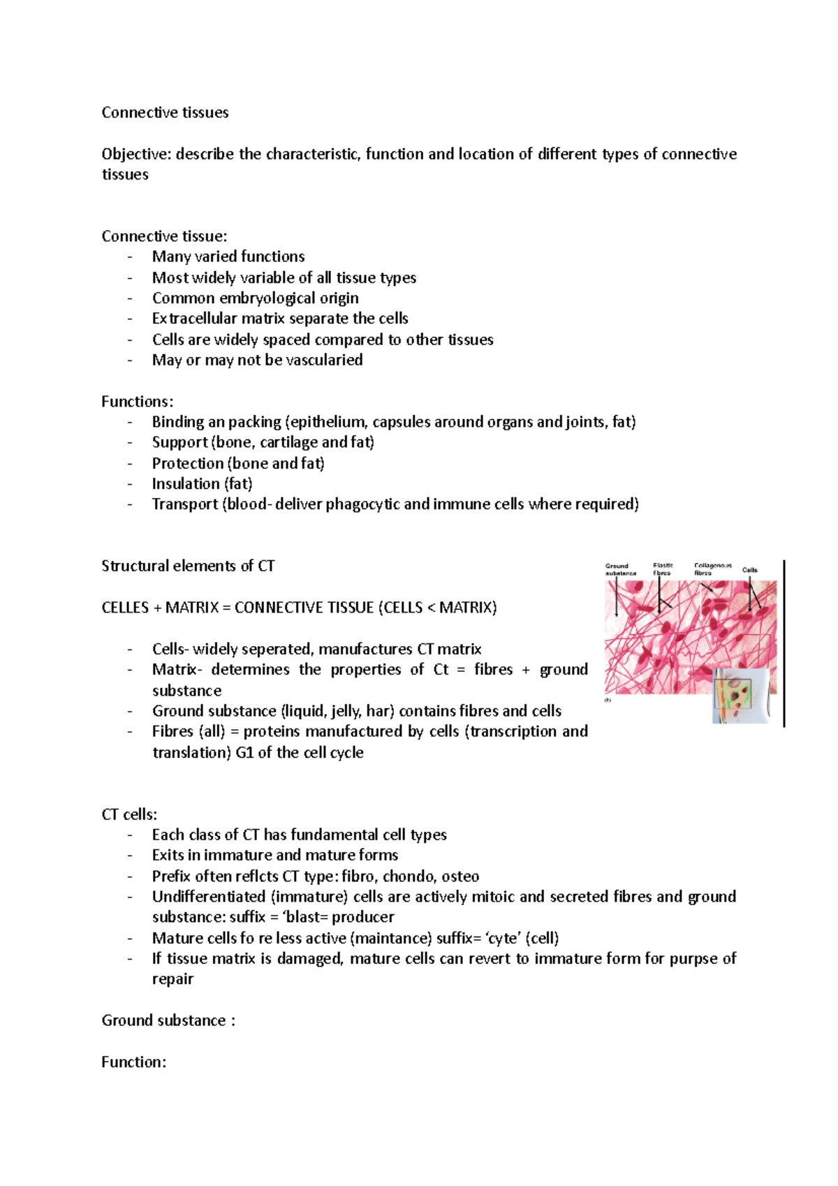 Connective tissues- tissues 2 - Connective tissues Objective: describe ...
