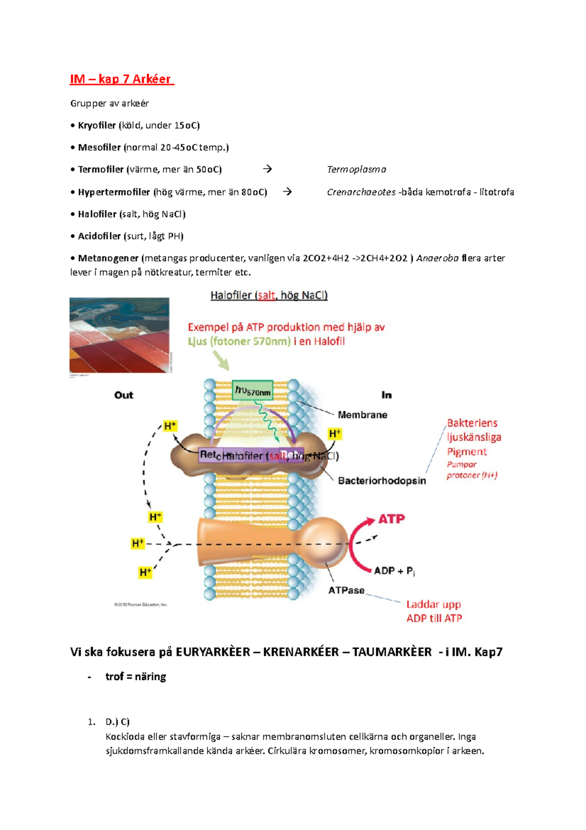 IM - kap 7 Arkéer - Övningsfrågor - IM – kap 7 Arkéer Grupper av arkeér ...