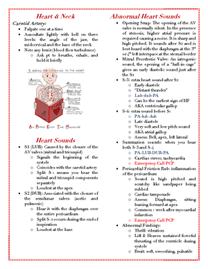 3160Respiratory Key Concepts - Crepitus on a respiratory exam AIR IS ...