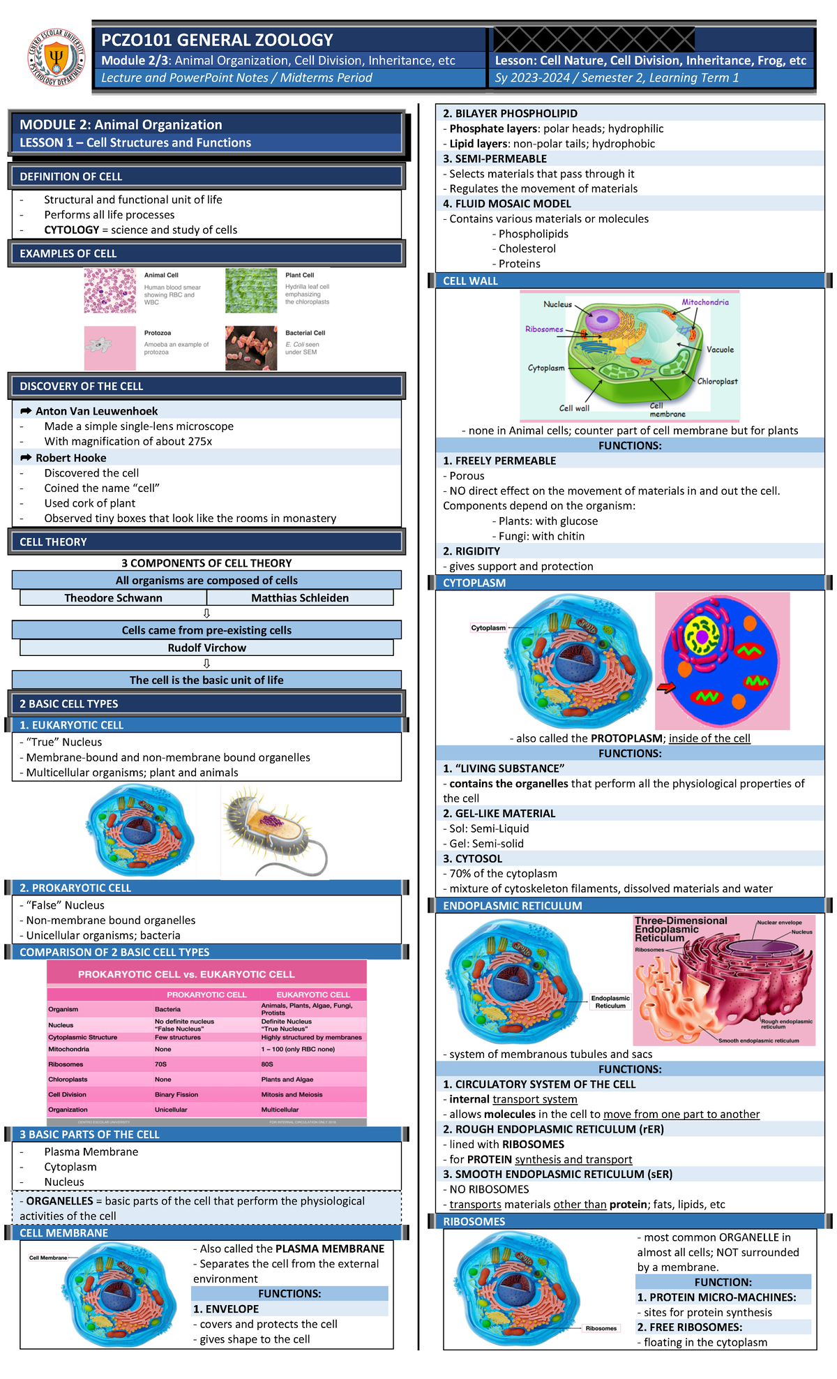 GenZoo Midterm Notes - PCZO101 GENERAL ZOOLOGY Module 2 /3: Animal ...