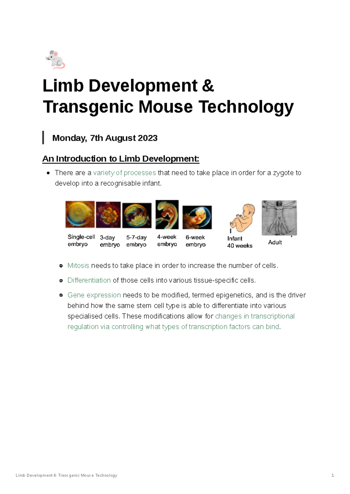 Limb Development & Transgenic Mouse Technology 2 - 🐁 Limb Development ...