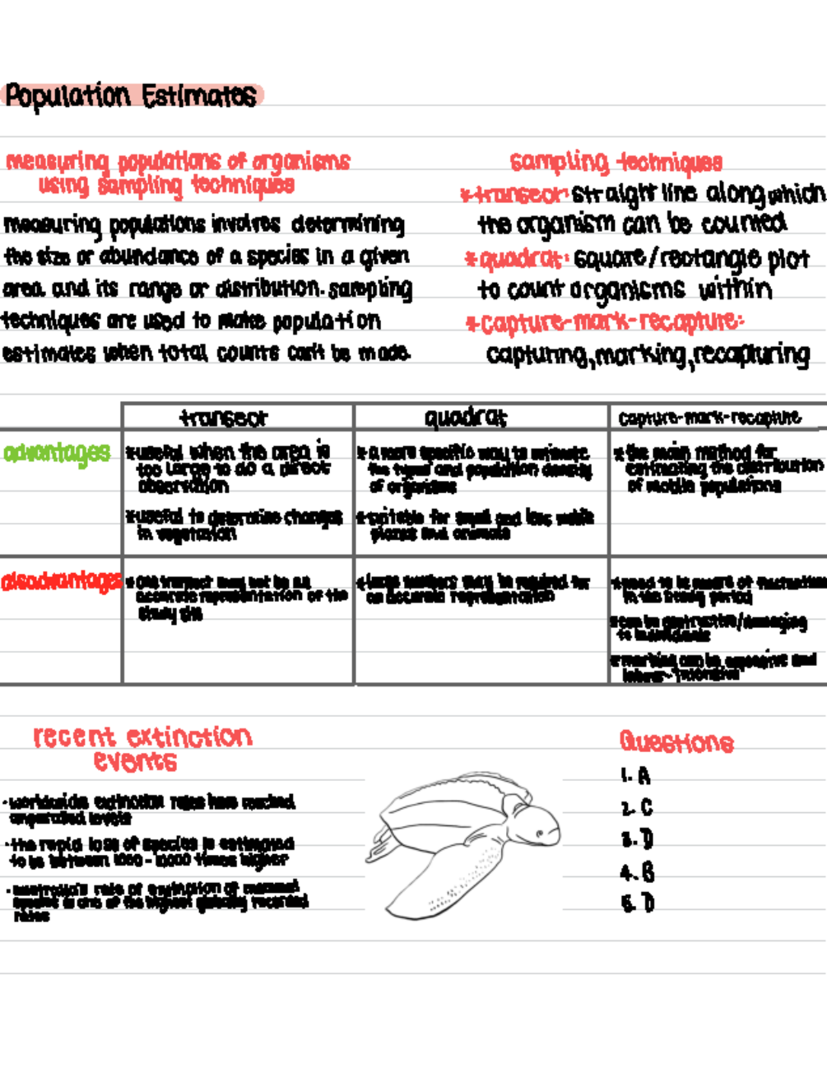Population Estimates Notes - Population Estimates measuring populations ...
