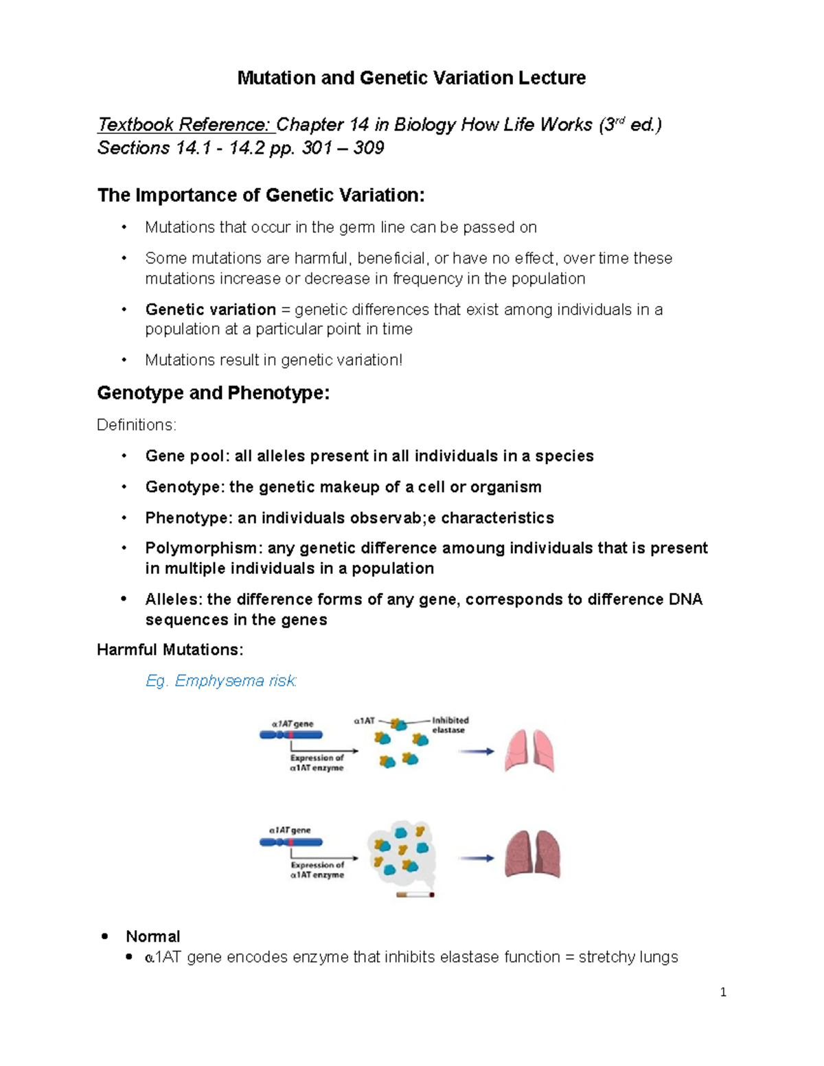 CH14 Mutation Genetic Variation - Mutation and Genetic Variation ...