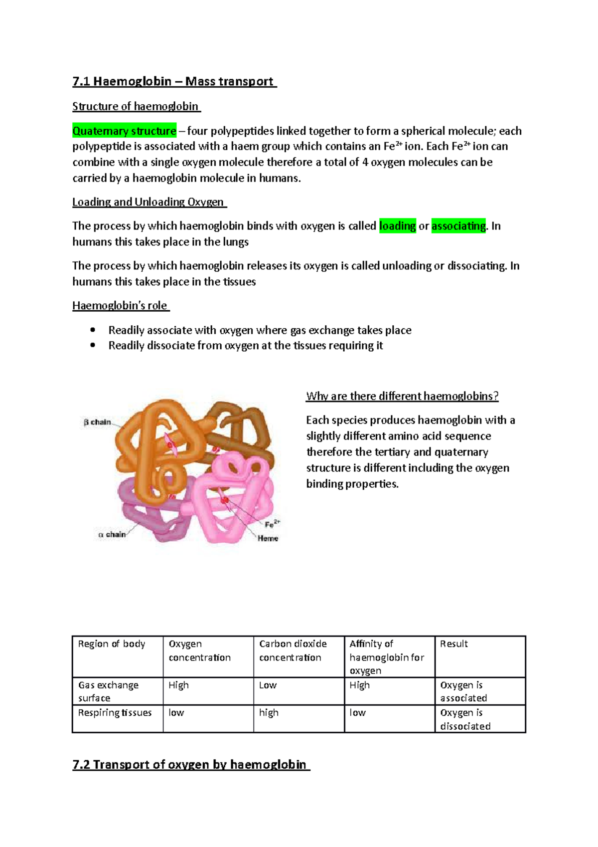 Chapter 7 Biology notes - 7 Haemoglobin – Mass transport Structure of ...
