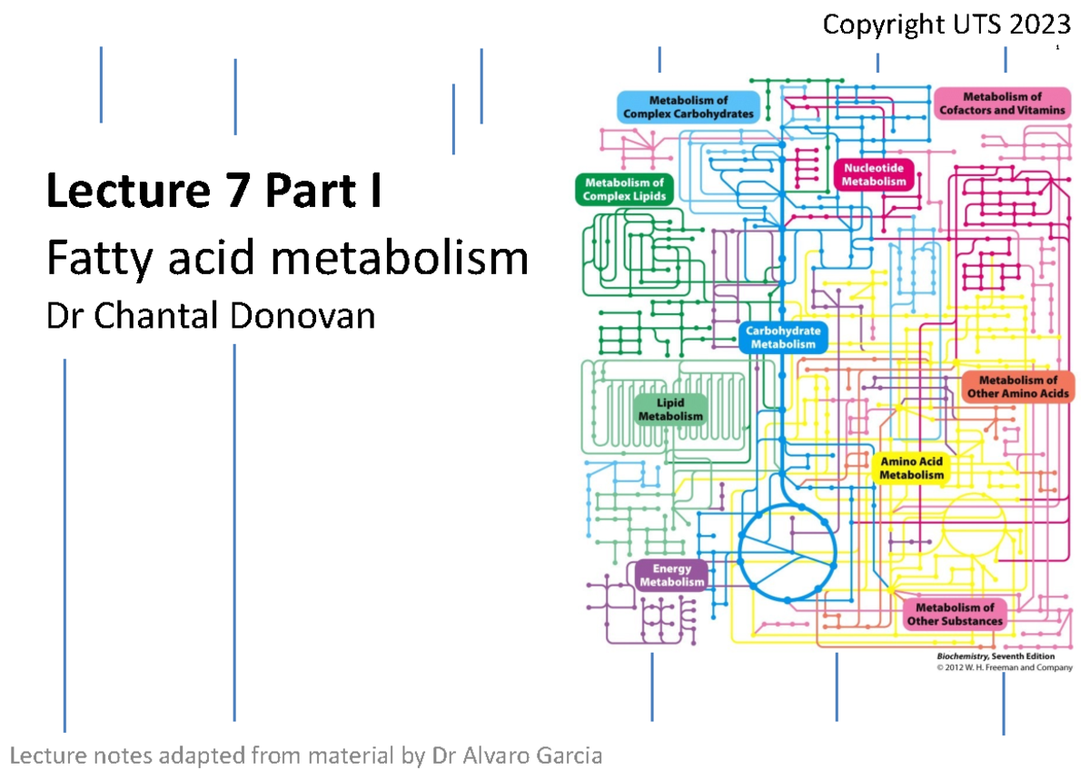 Lecture 7 Metabolic Biochemistry Autumn 2023 - 1 Lecture 7 Part I Fatty ...