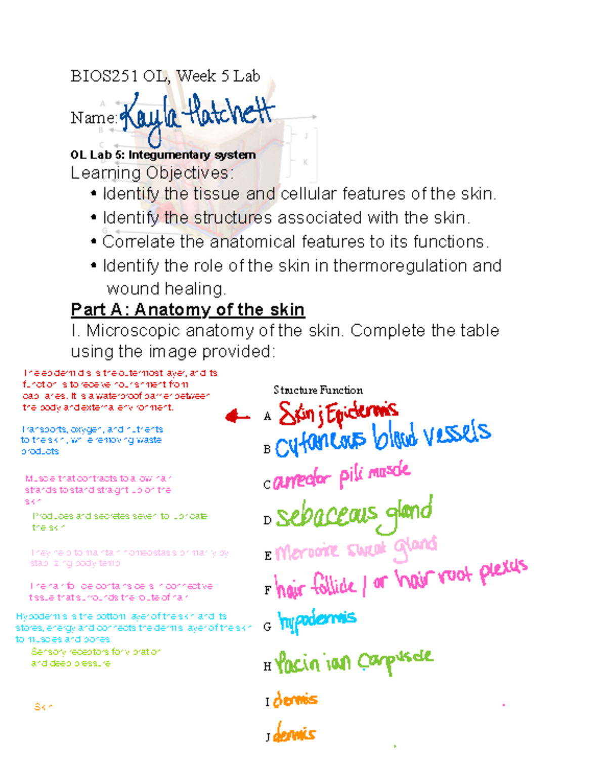 Week Lab 5 - BIOS251 OL, Week 5 Lab Name: ####### OL Lab 5 ...