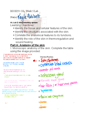 Lab week 7 Resp Sys - Respiratory system lab - Week 7 Respiratory ...