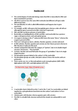 Amino Acids Notes - Amino acids are the building blocks of proteins ...