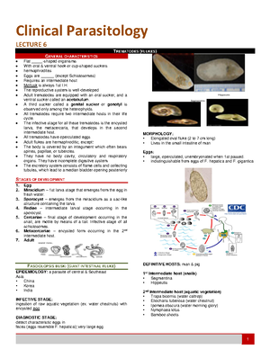 Clinical Parasitology - Lec 2 - Clinical Parasitology LECTURE 2 ...
