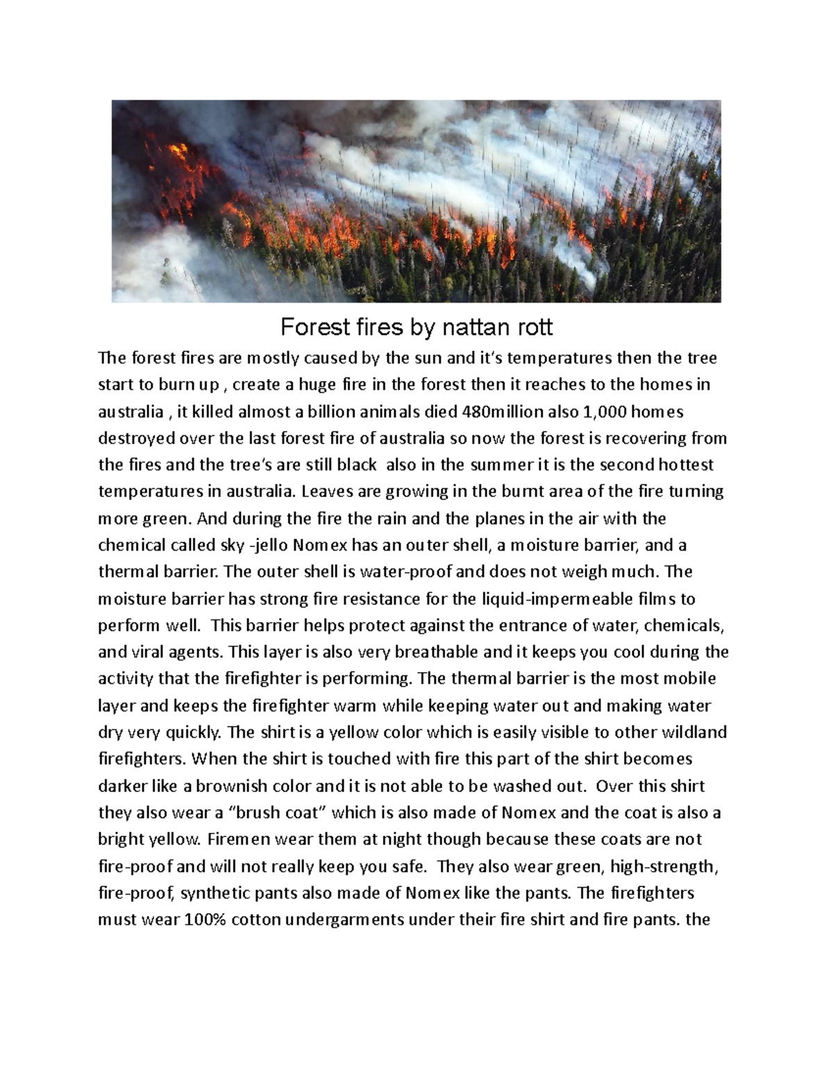 Forest fires in australia by Anderson romero - Forest fires by nattan ...