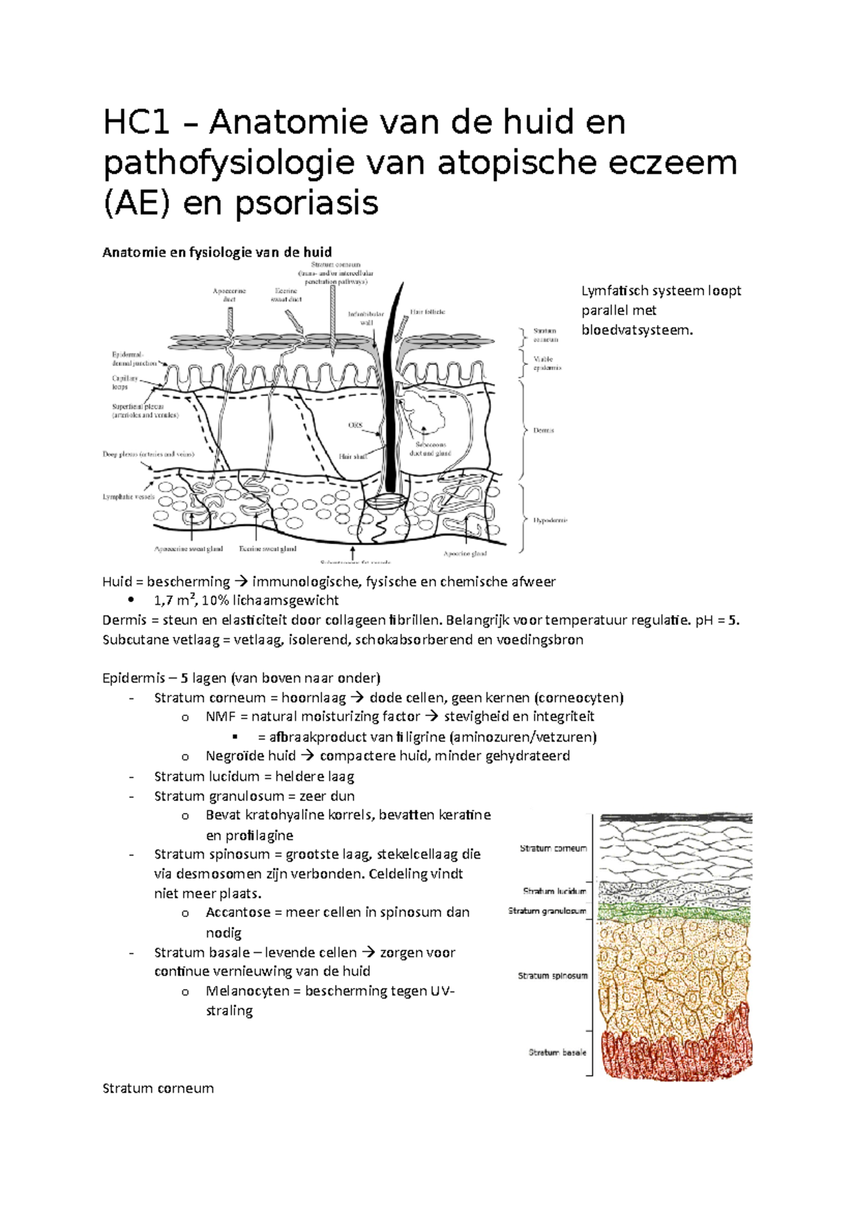 HC 1 - Anatomie huid en pathofysiologie atopische eczeem en psoriasis ...