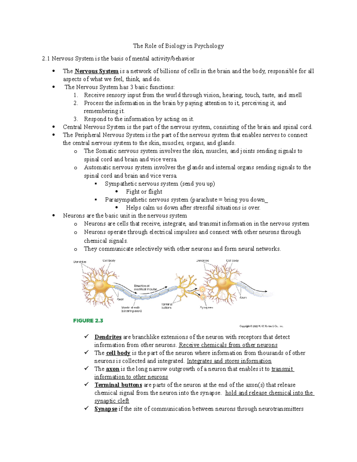 Psychology Chp. 2 Notes - The Role of Biology in Psychology 2 Nervous ...