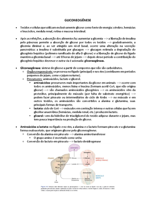 Texto Silvio Bock - As Profissões - Studocu