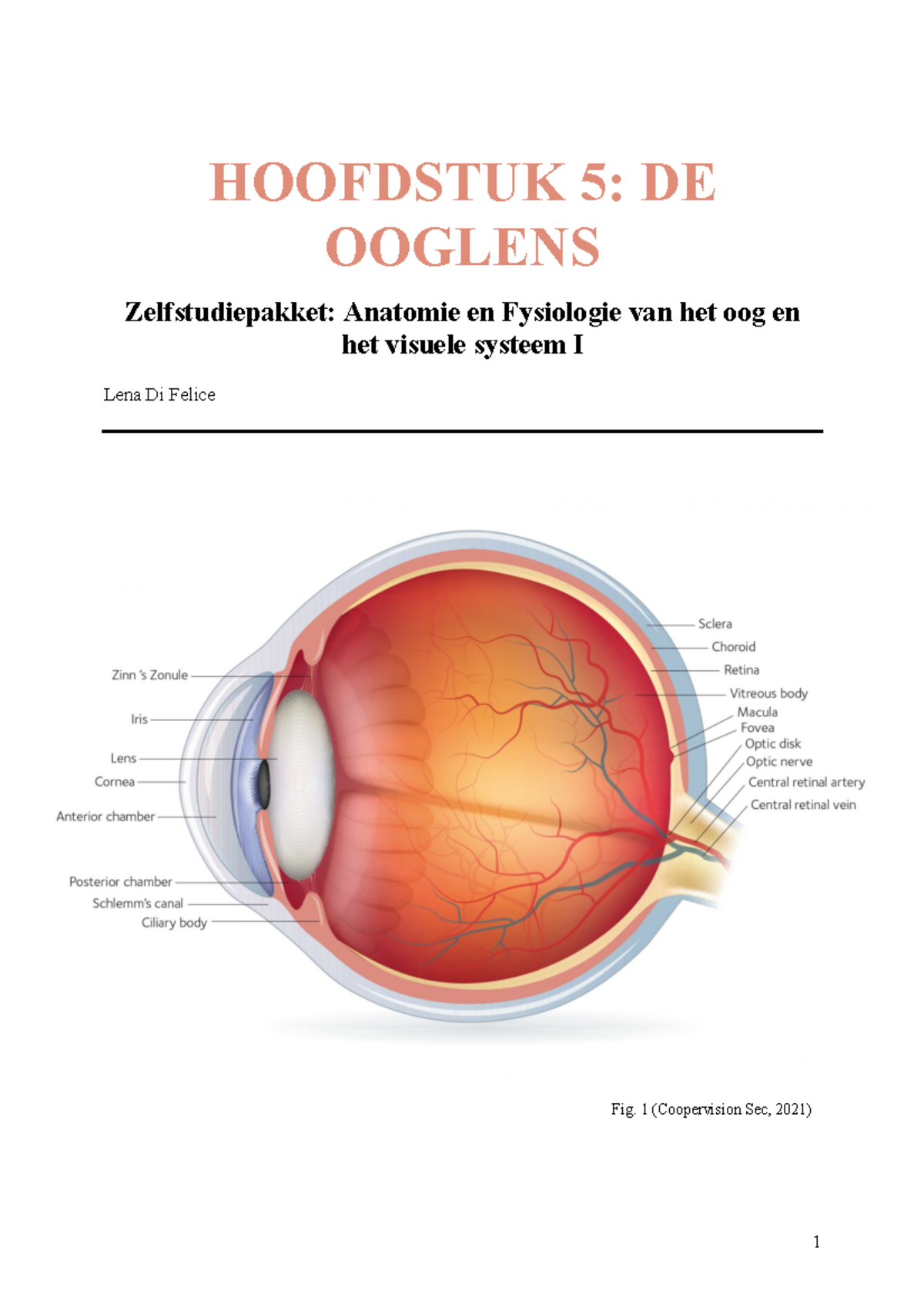 Zelfstudiepakket hoofdstuk 5 - HOOFDSTUK 5: DE OOGLENS Zelfstudiepakket ...