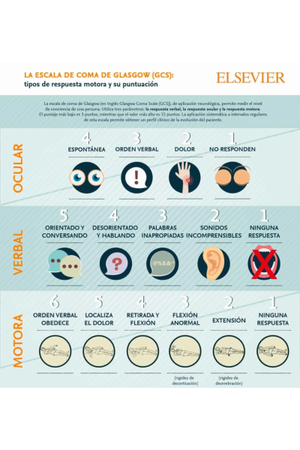 Estómago - Estómago Mucosa Submucosa Serosa Mariana Guzmán Vega 4849346 ...