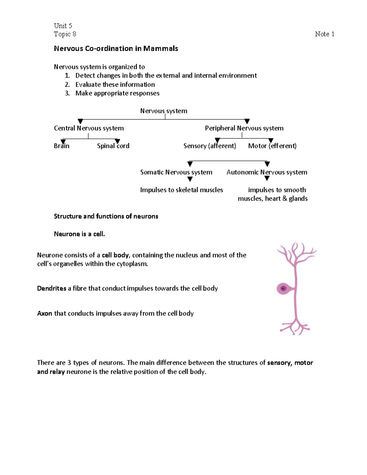 Note 1 Nervous Co Topic 8 Note 1 Nervous Co ordination In Mammals