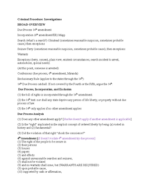 4th Amendment Overview - At the outset of any flowchart: Who is ...