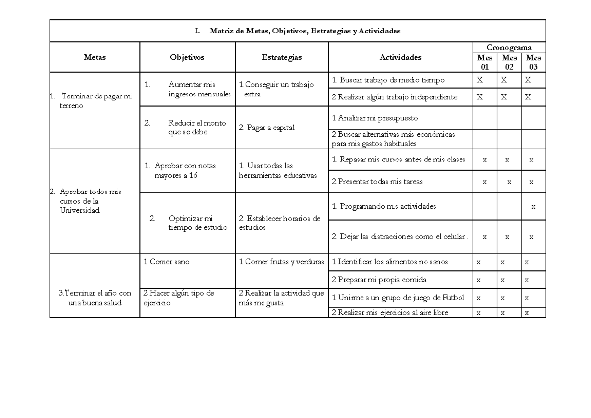 Matriz de Metas - I. Matriz de Metas, Objetivos, Estrategias y ...