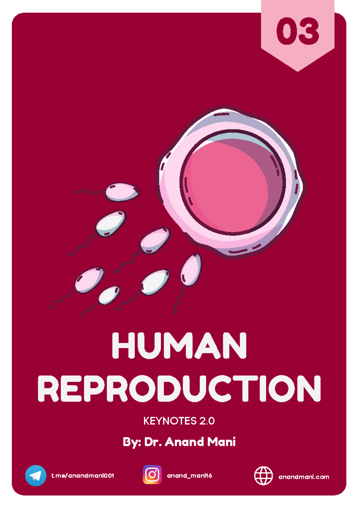 Human Reproduction - HUMAN REPRODUCTION 03 KEYNOTES 2. ####### By: Dr ...