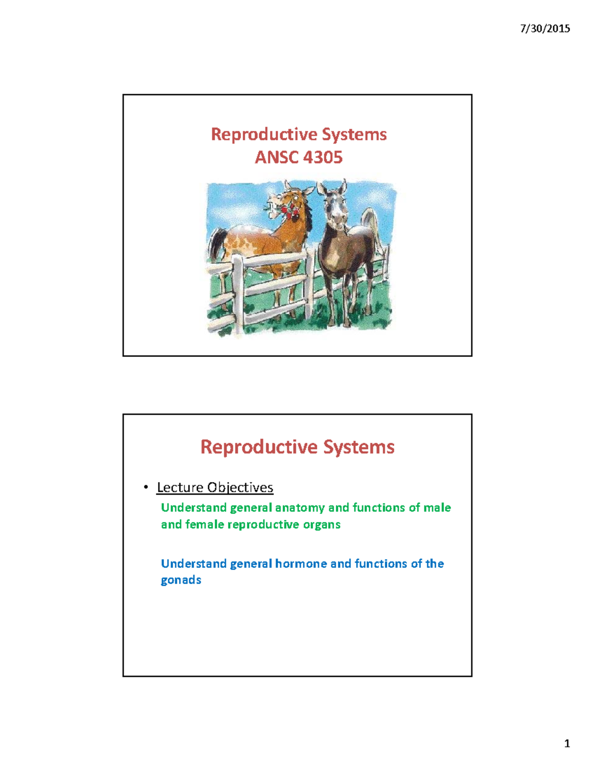 Animal Reproduction Systems