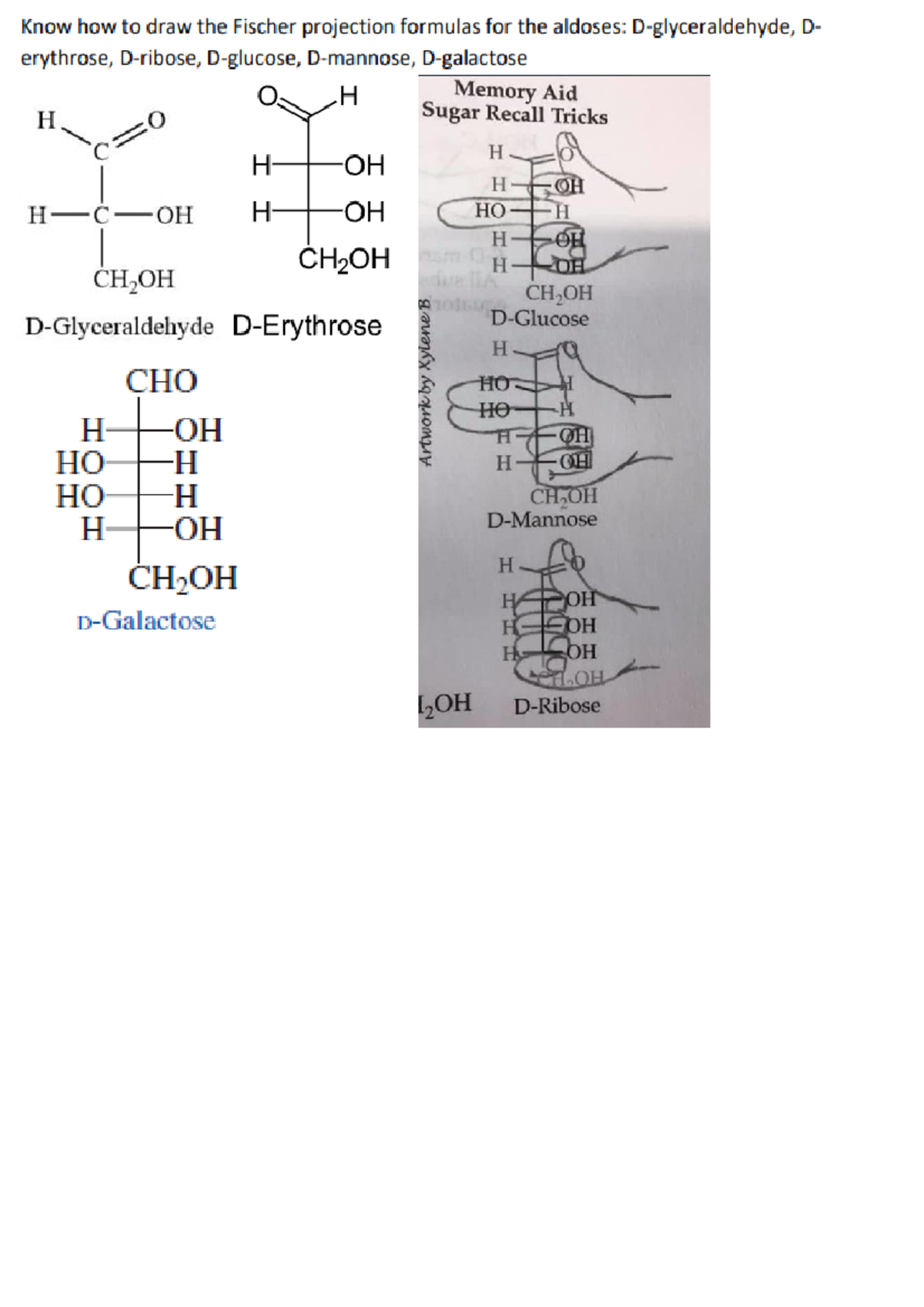BCM 257 Structures - Know how to draw the Fischer projection formulas ...