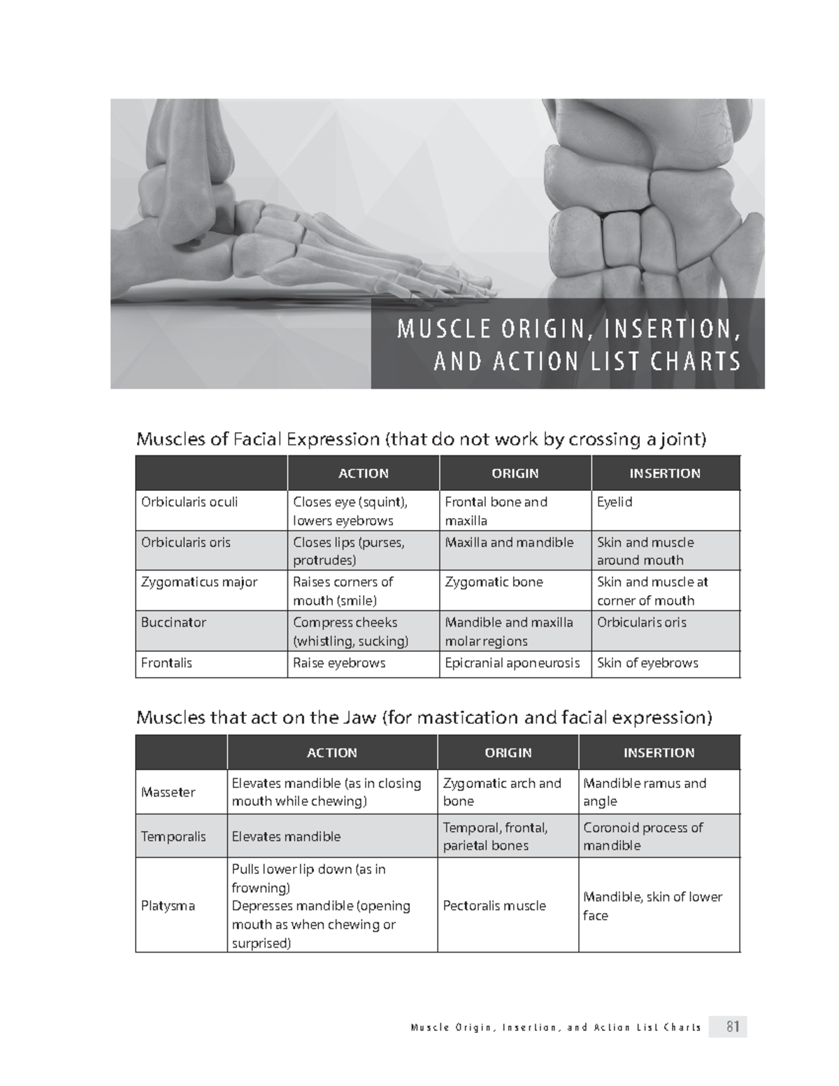 14-muscle-charts - Summary of muscle origin and insertion - M U S C L E ...