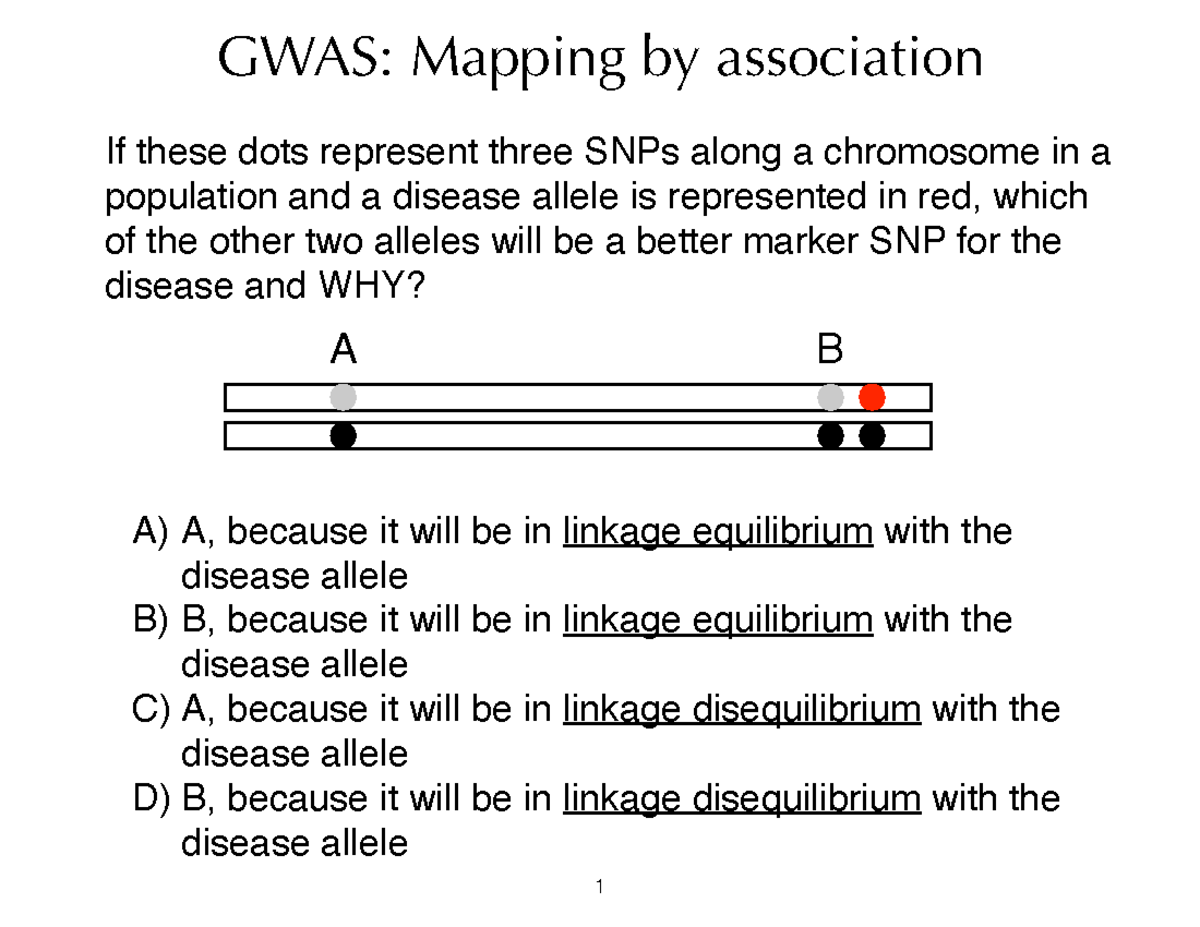 Genetics lec21 10 13 21 - GWAS: Mapping by association If these dots ...