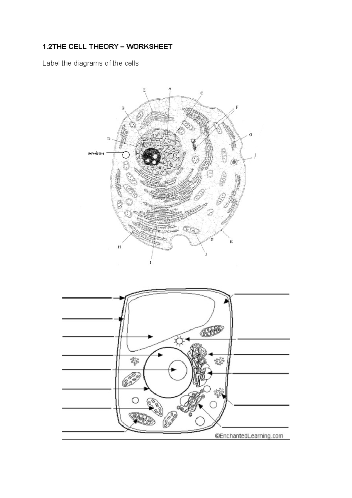 1.2 Worksheet the cell theory - 1 CELL THEORY – WORKSHEET Label the ...