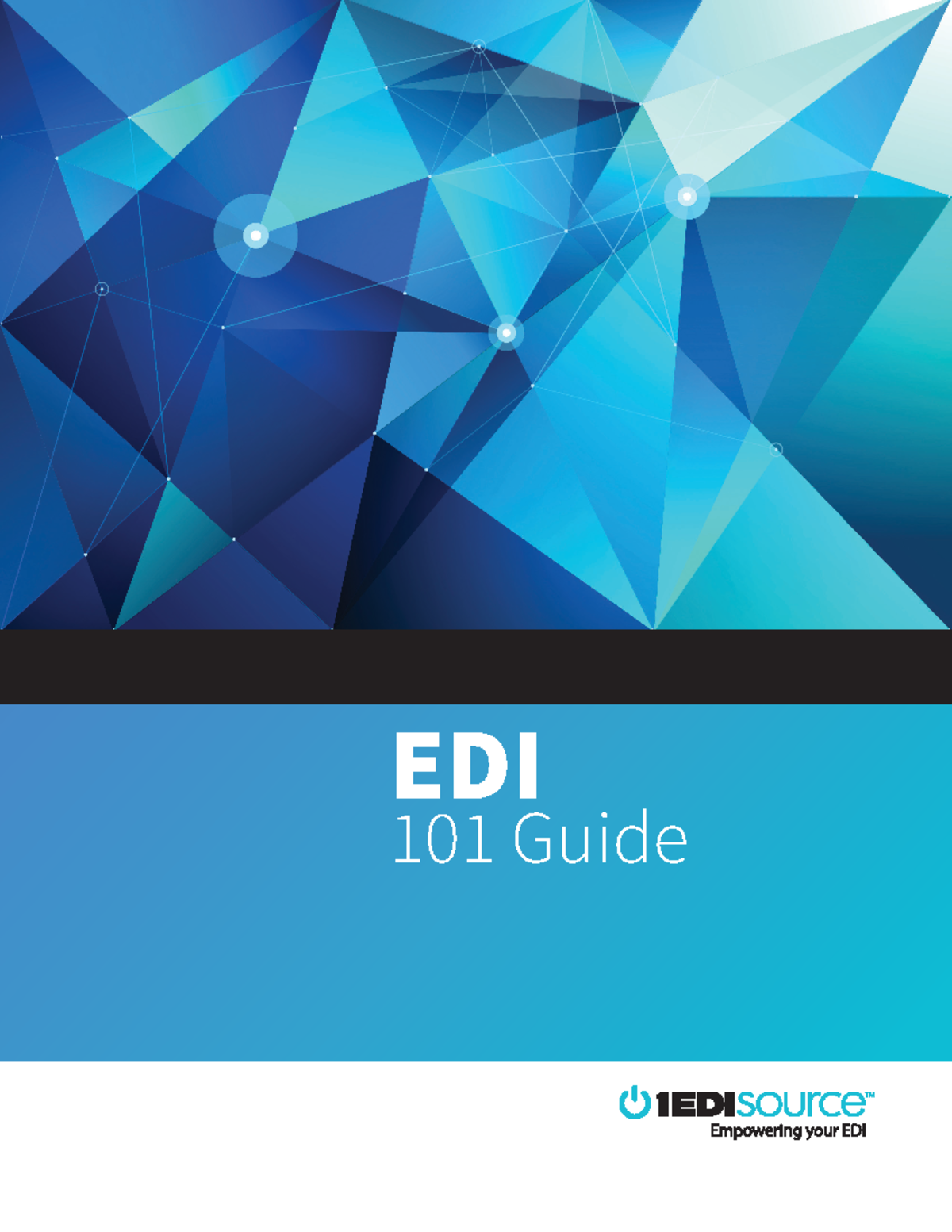 EDI 101 Guide 2017 - Accounting Information System - 101 Guide EDI ...
