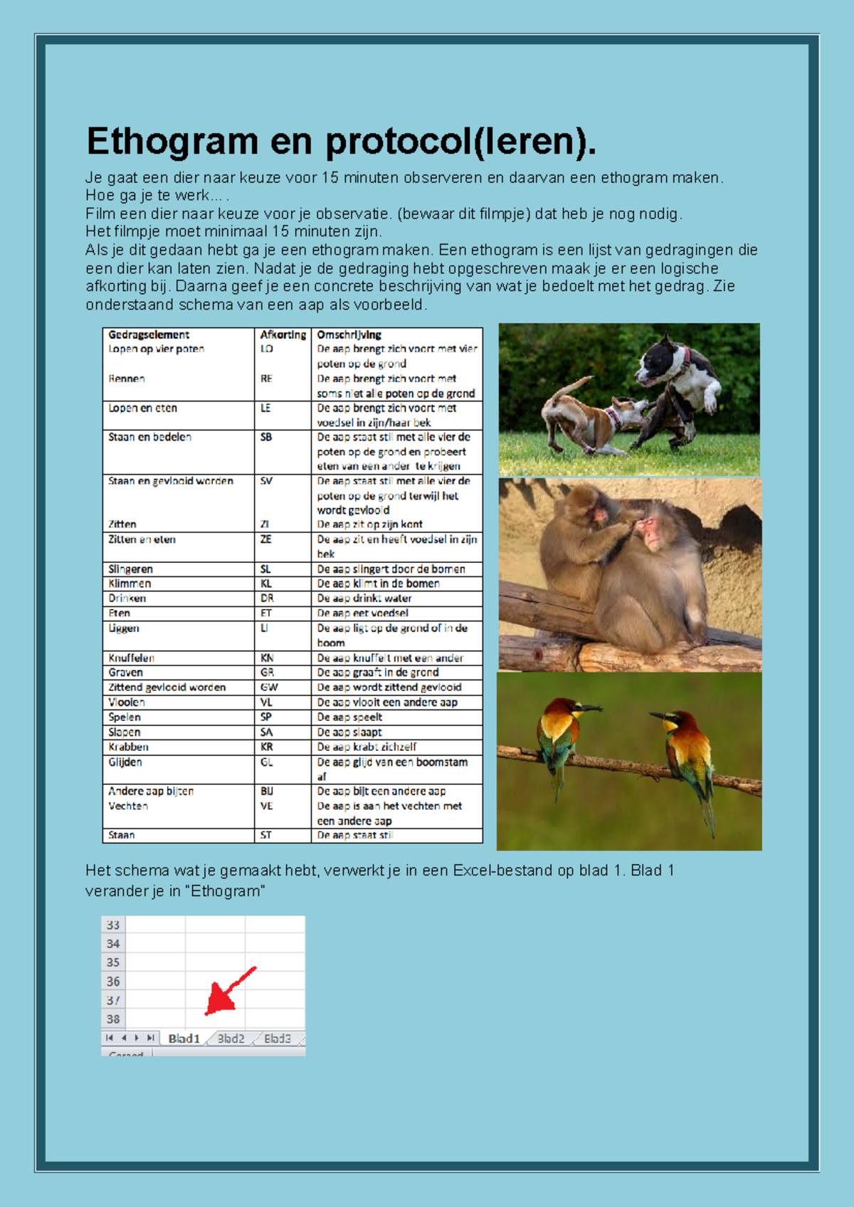Ethogram en protocolleren opdracht - Ethogram en protocol(leren). Je ...