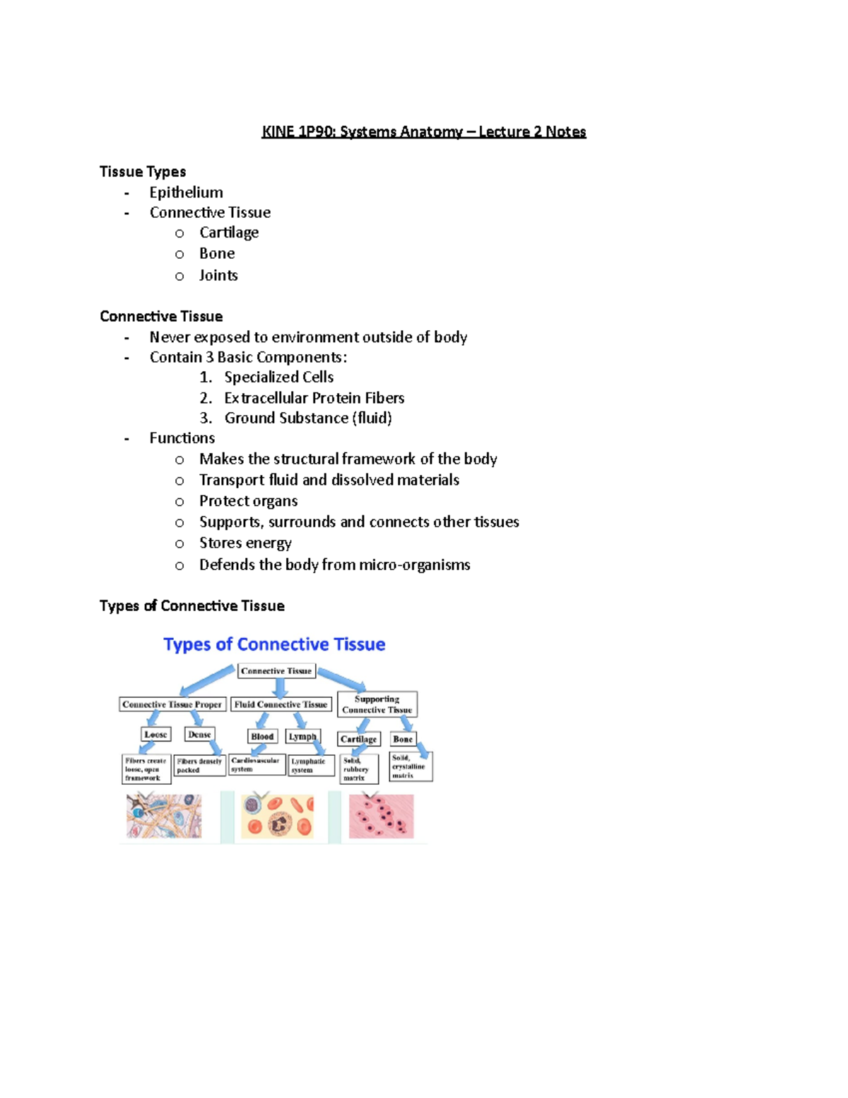 KINE 1P90 Lecture 2 Notes - KINE 1P90: Systems Anatomy – Lecture 2 ...