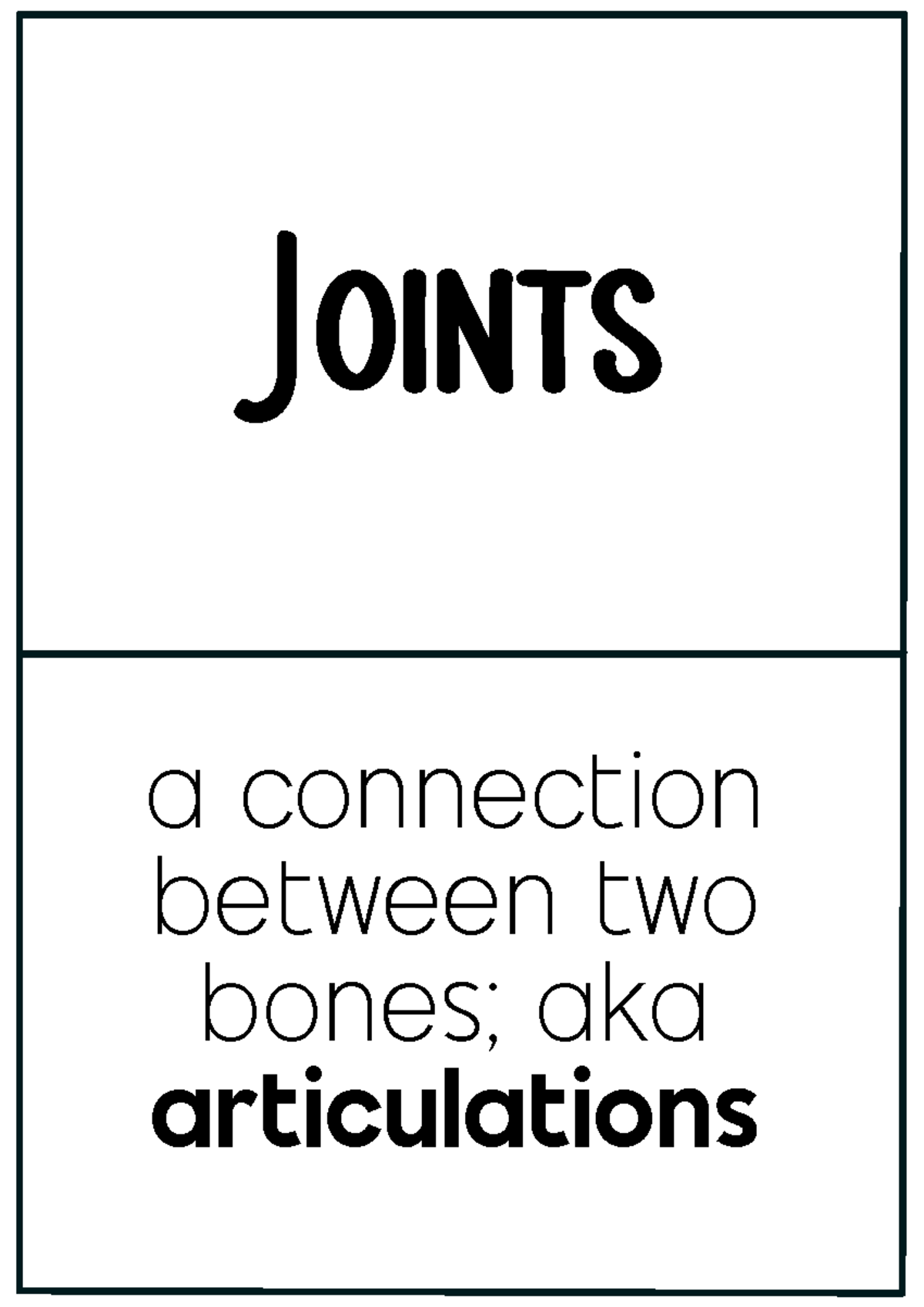 Joints Flashcards - Anatomy - a connection between two bones; aka ...