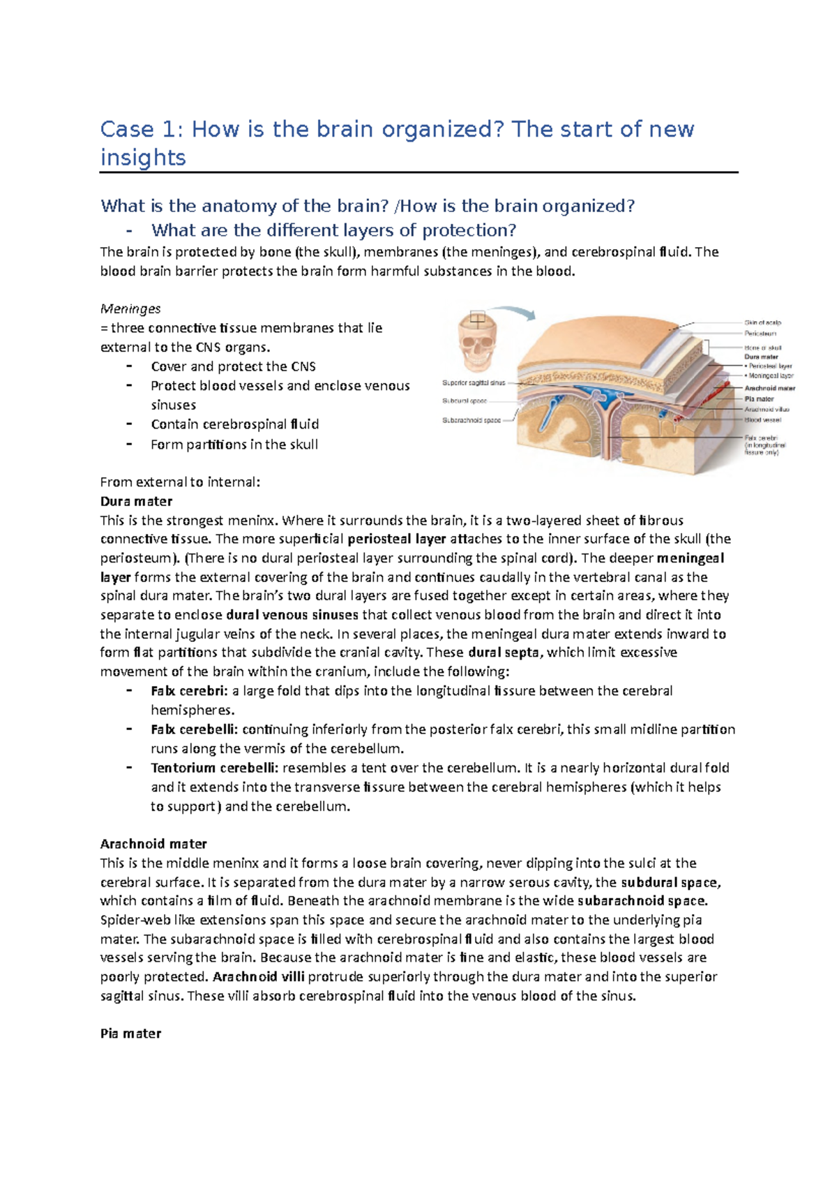 Case 1 How is the brain organized - Case 1: How is the brain organized ...