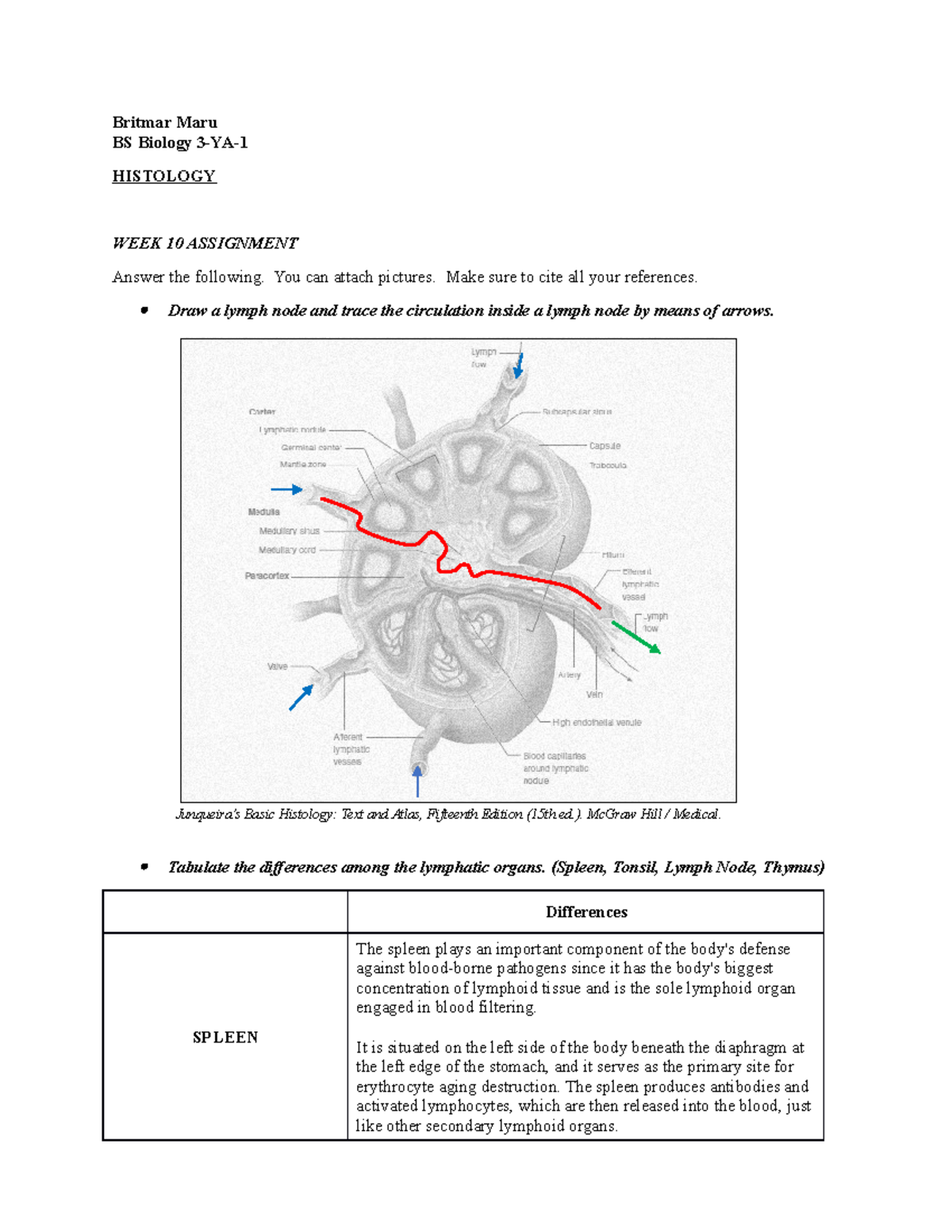 WEEK 10 Assignment - Britmar Maru BS Biology 3-YA- HISTOLOGY WEEK 10 ...