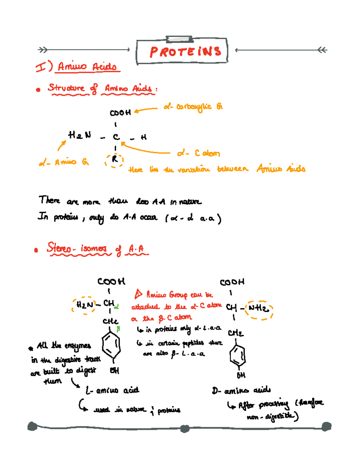 Protein prior knowledge - tooo PROTEINS Str of Aminoacids COO H L ...