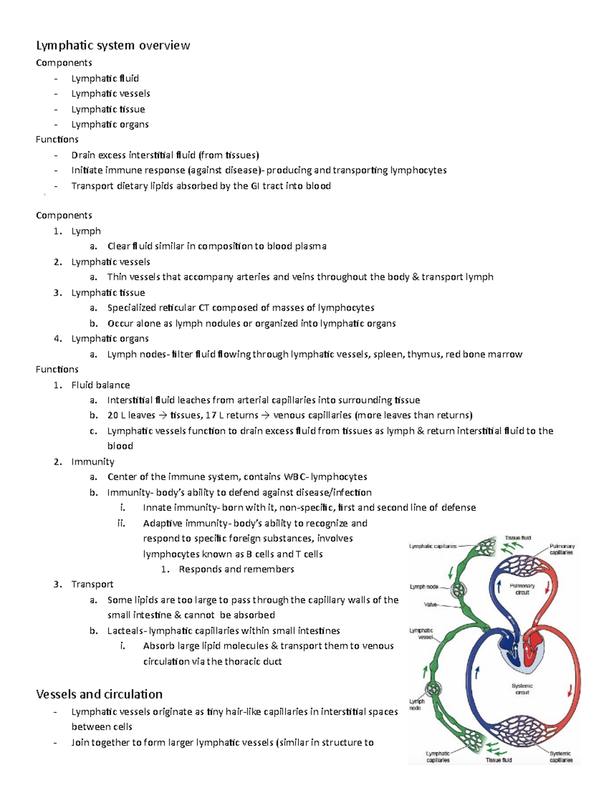 A P Study Guide Lymphatic System - Lymphatic system overview Components ...