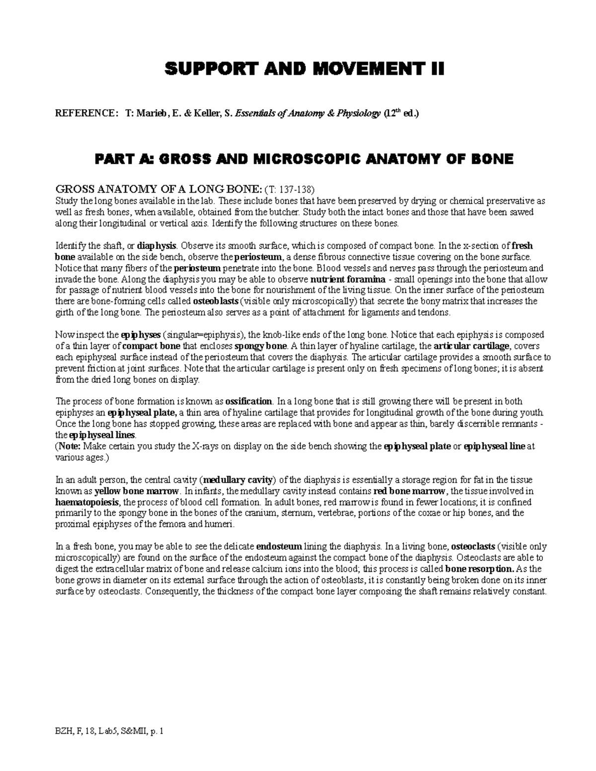 BZH F18 Lab9 Heart Practice Material - SUPPORT AND MOVEMENT II ...