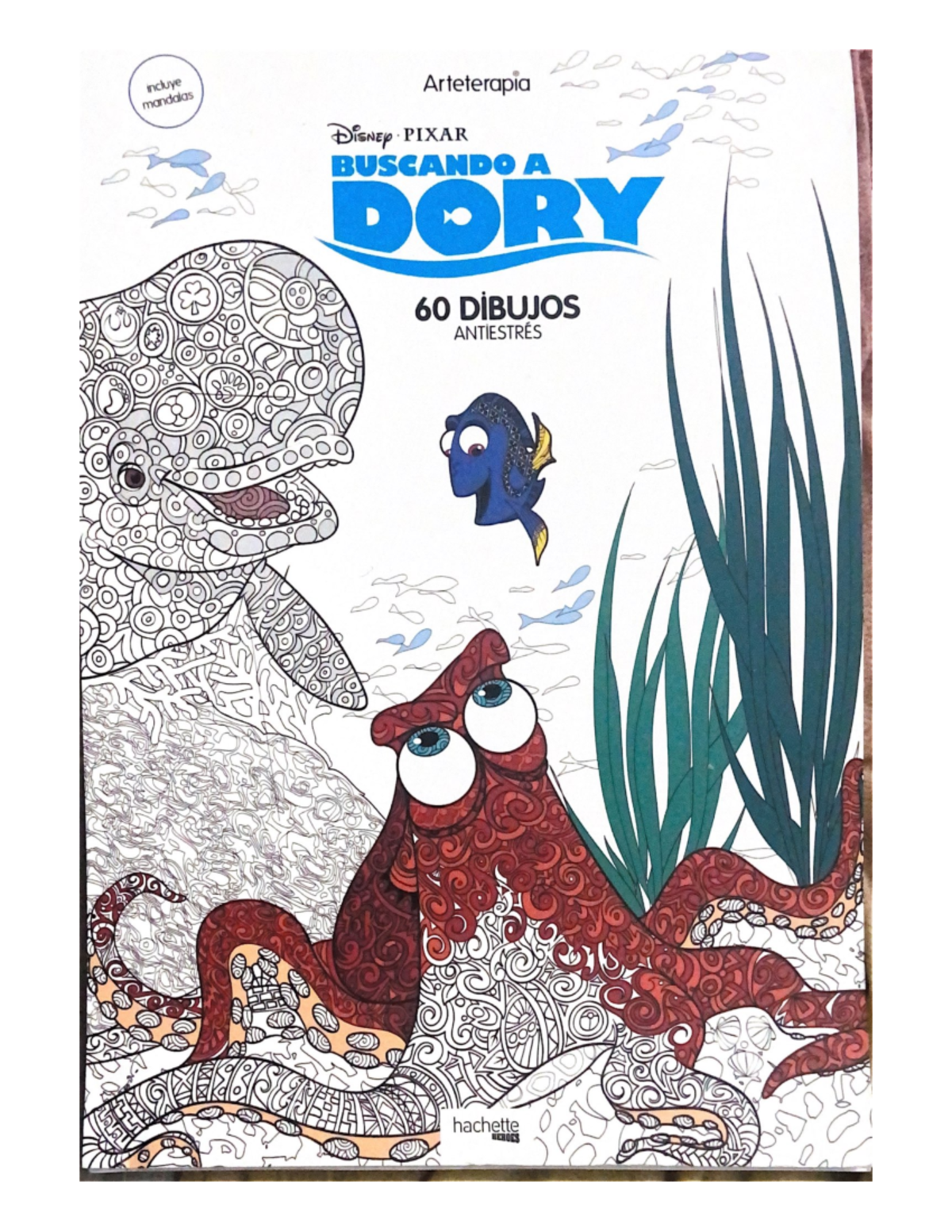 Buscando a dory - cvbnm, - Estática - Studocu