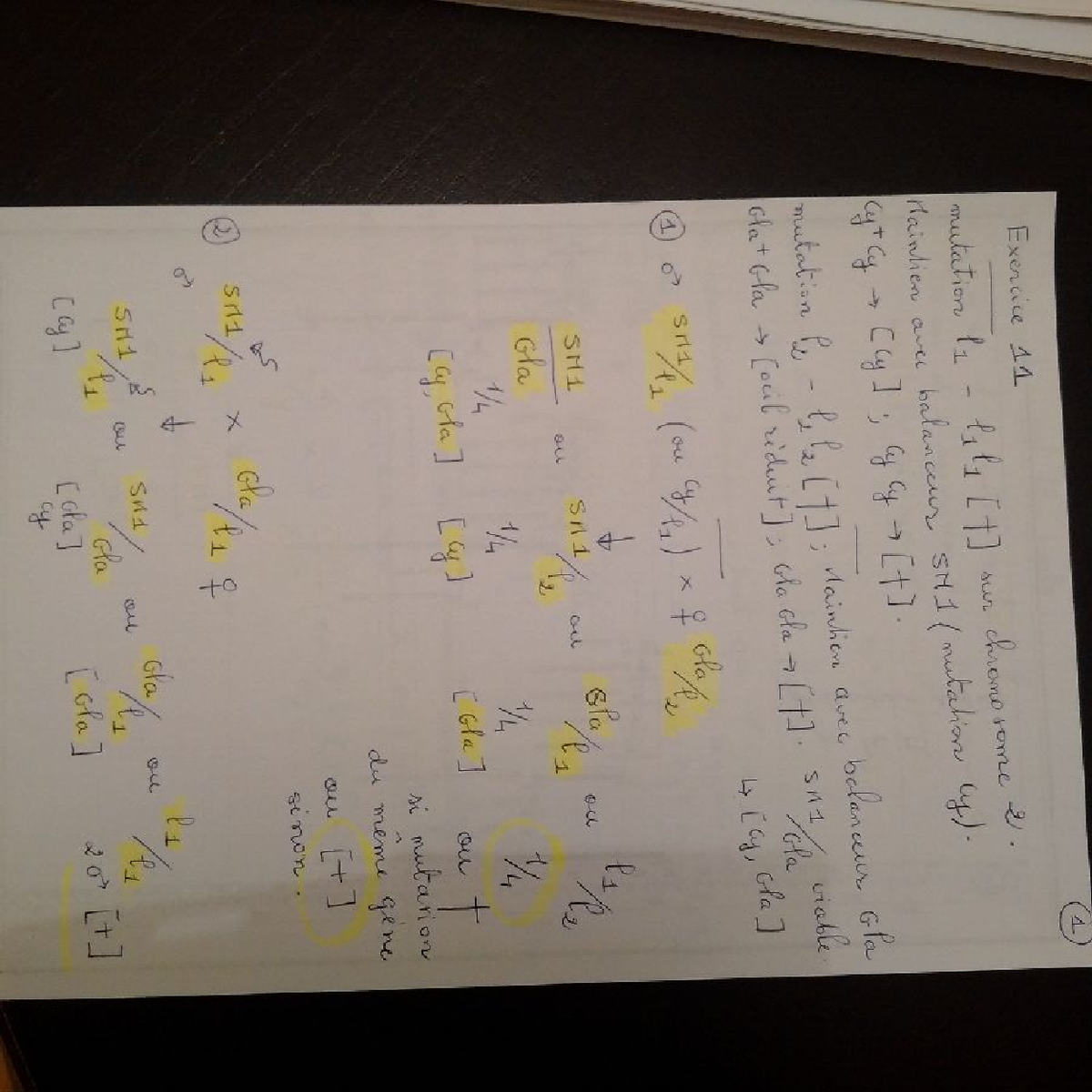 Corrigé exercice 11 + Drosophile 2 - Génie génétique - Studocu