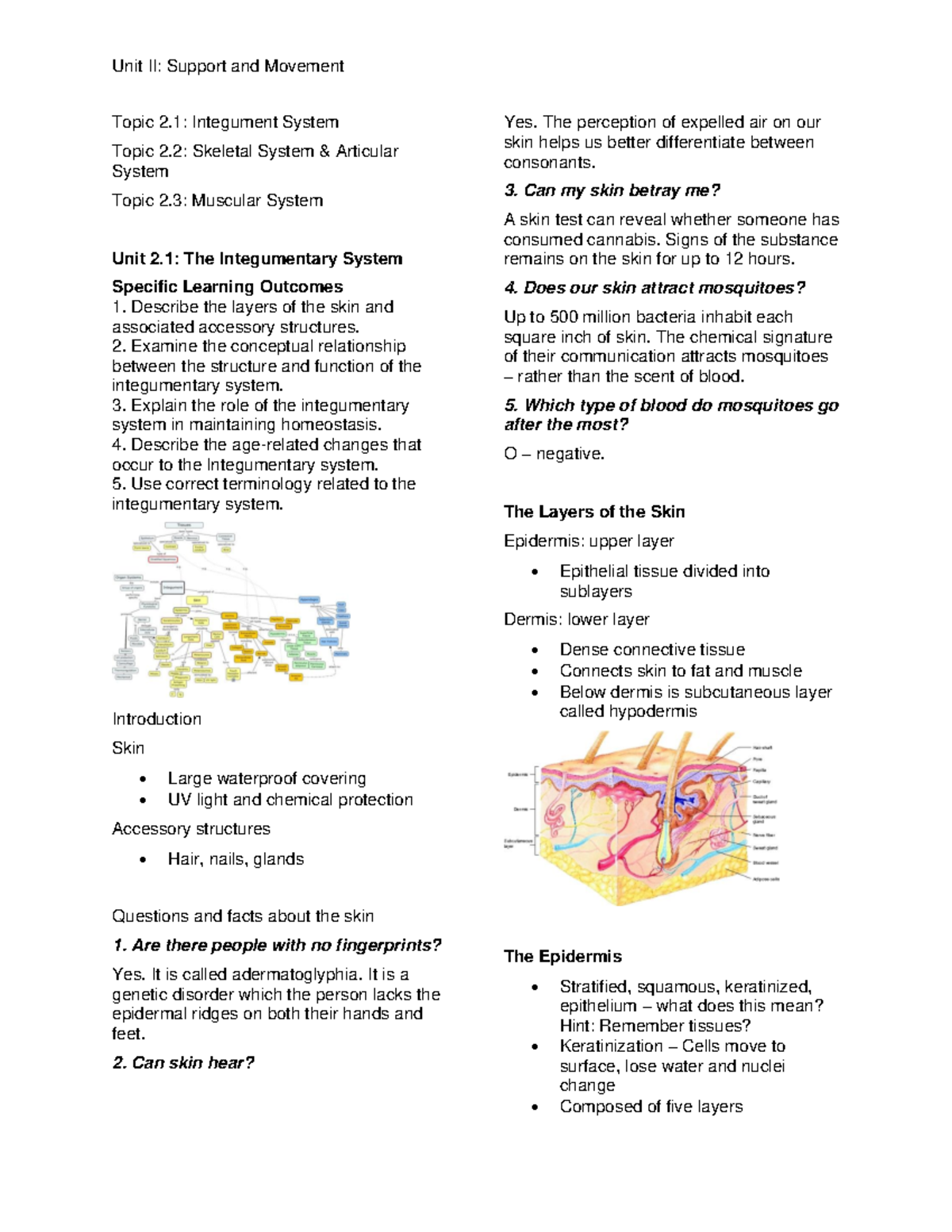 Unit 2 - PPT - Anatomy and Physiology (ANPH 1001) - Topic 2: Integument ...