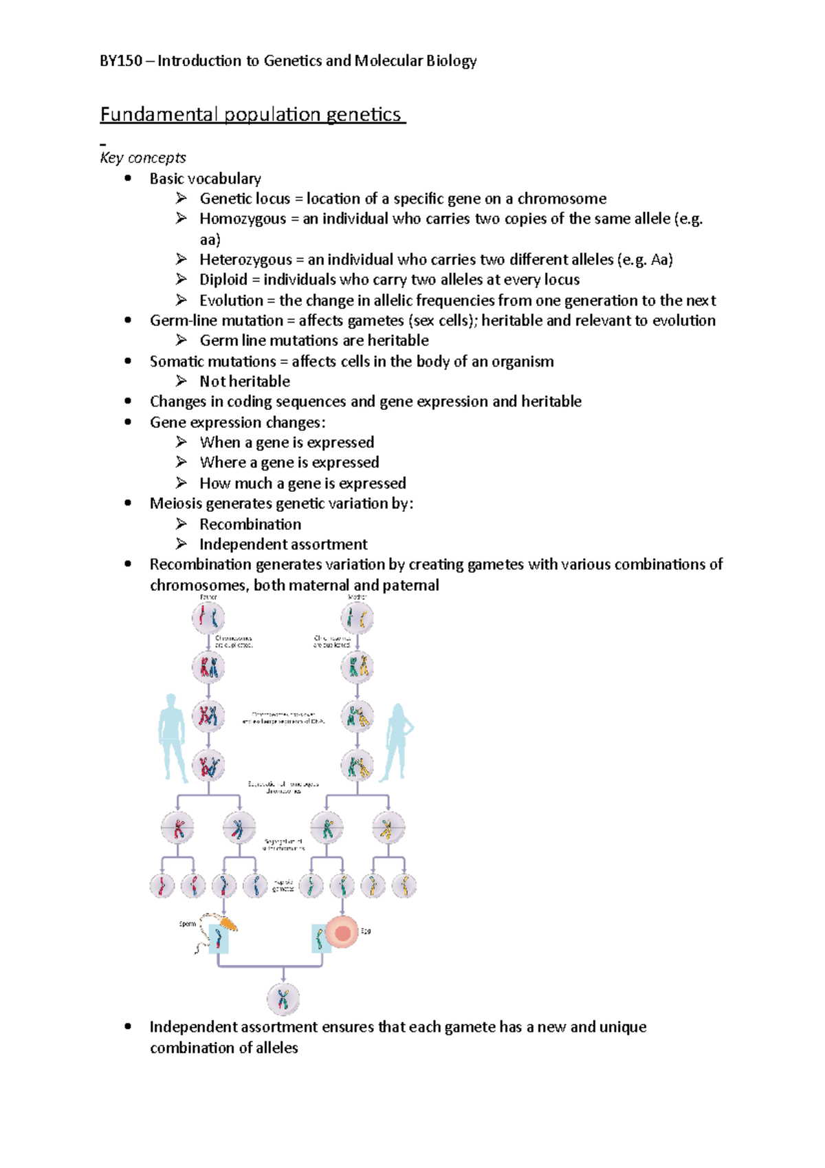 Fundamental population genetics - BY150 – Introduction to Genetics and ...