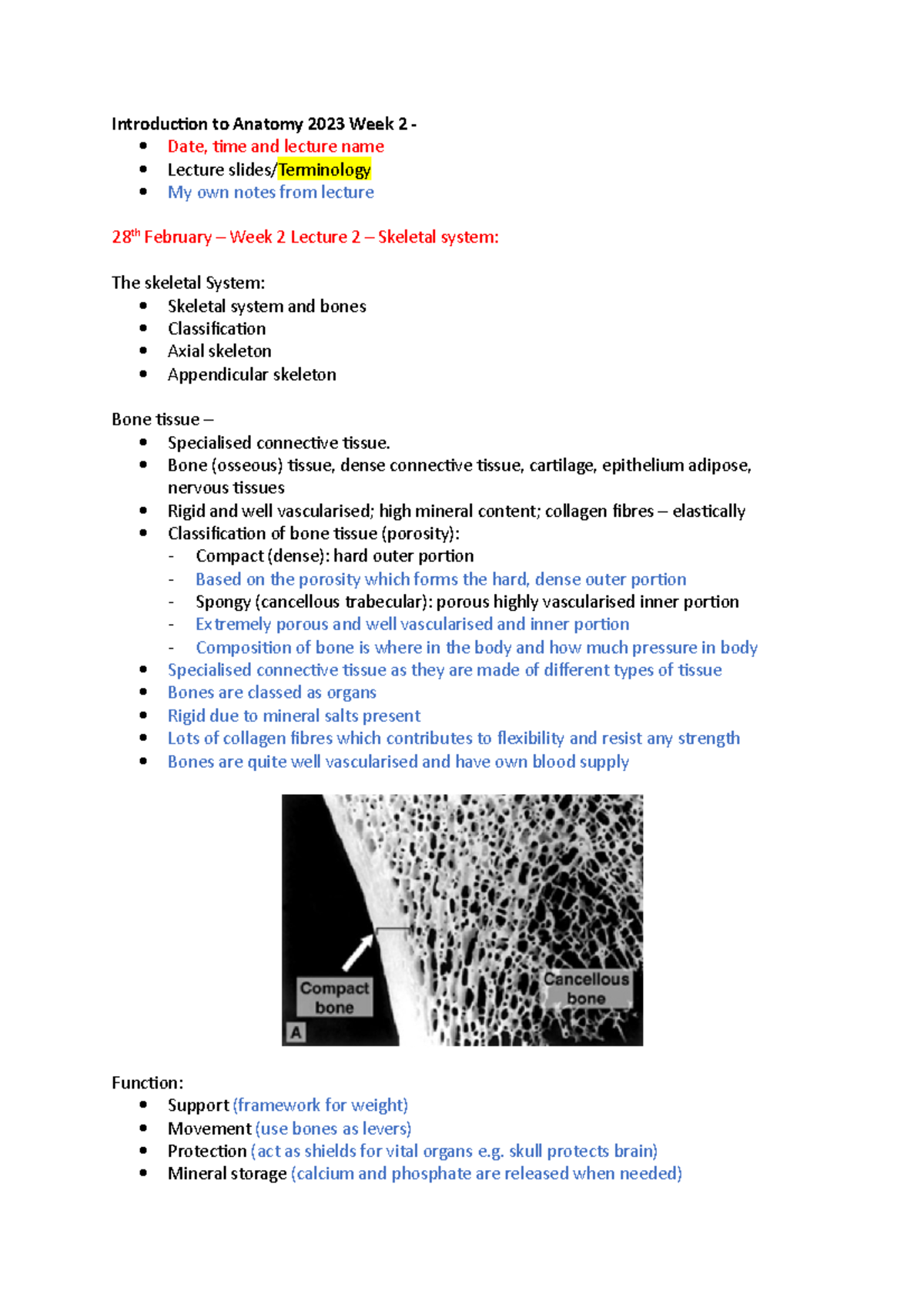 Week 2 Lecture 2 - Introduction to Anatomy 2023 Week 2 - Date, time and ...