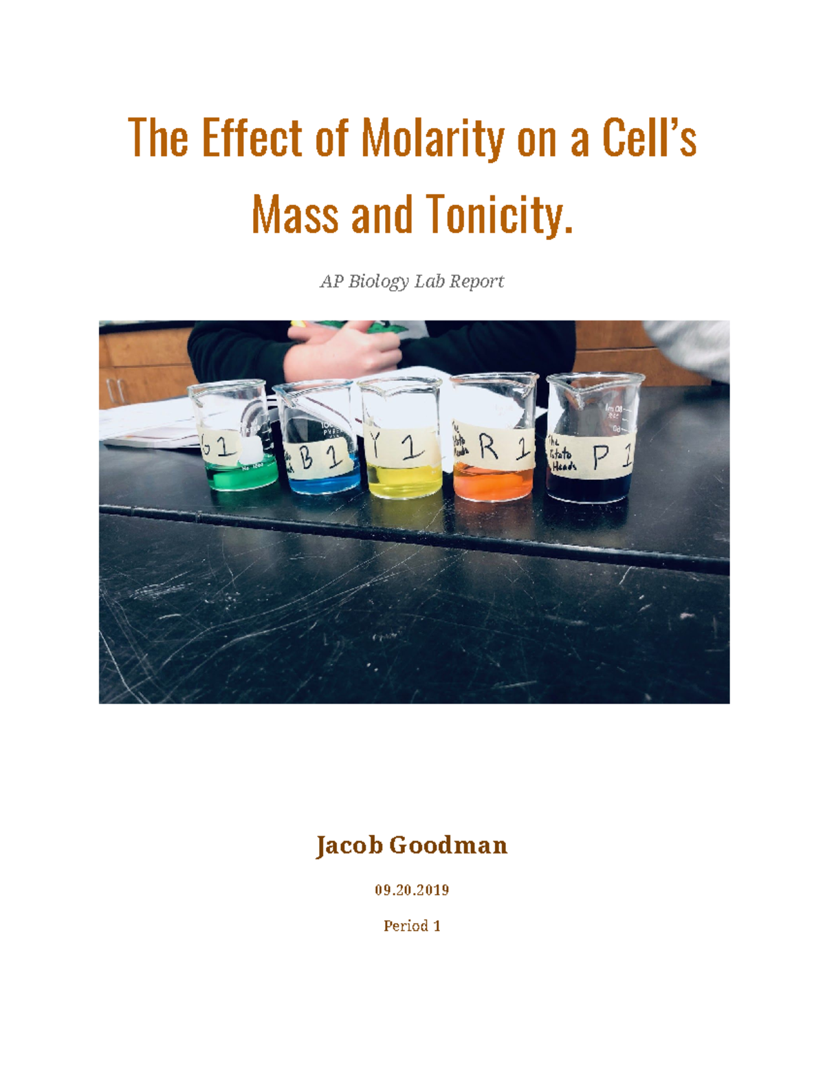 AP Bio Lab Report - bruh - The Effect of Molarity on a Cell’s Mass and ...