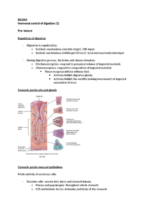 Lec 5-6 help sheet - lecture notes - Principle endocrine glands of the ...